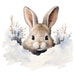 12 Hiding Bunny Snow Clipart, Bunny Clipart, Printable Watercolor ...