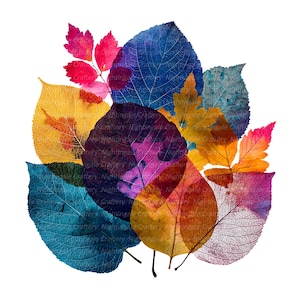 14 Pressed Leaf Collage, Autumn Leaves Clipart, Digital Clipart ...