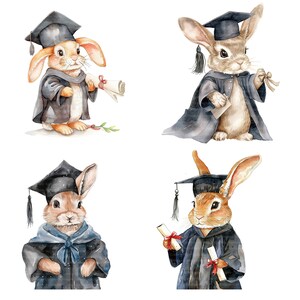 13 Graduation Bunny Clipart, Rabbit Clipart, Printable Watercolor ...