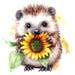 12 Hedgehog Sunflower Clipart, Cartoon Hedgehog, Printable Watercolor ...