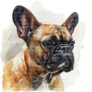 10 French Bulldog Clipart, Watercolor Bulldog, Printable Watercolor ...