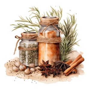 13 Spice Bottles Clipart, Kitchen Spices Clipart, Digital Clipart ...