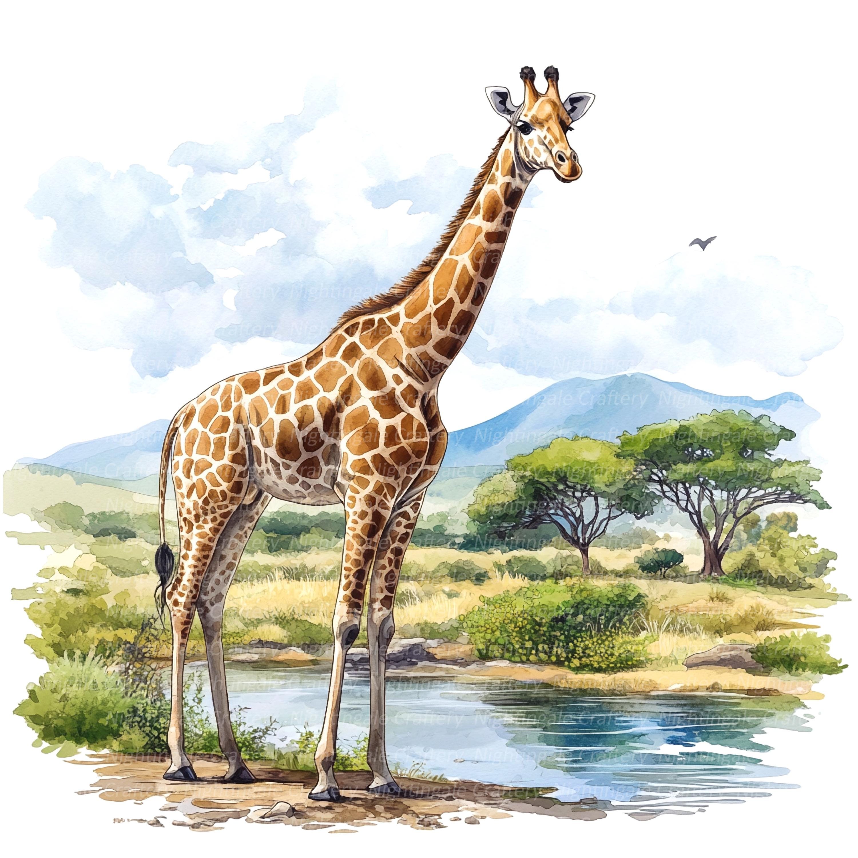 10 Giraffe Clipart, Watercolor Giraffe, Printable Watercolor Clipart ...