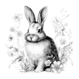 10 Bunny Black Ink Clipart, Line Art Clipart, Printable Watercolor ...