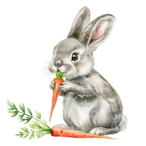 8 Bunny With Carrot Clipart, Cartoon Bunny, Printable Watercolor ...