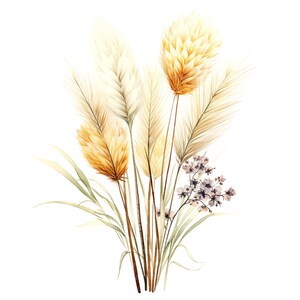 14 PNG Pampa Grass Flowers Bouquet Clipart, Dried Flowers Clipart ...