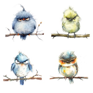 16 Grumpy Bird on Branch Clipart, Digital Clipart, Watercolor Clipart ...