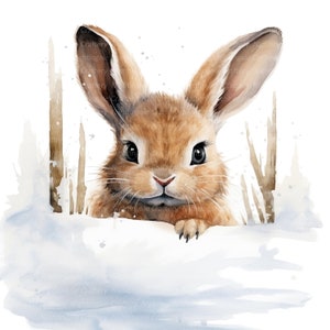 12 Hiding Bunny Snow Clipart, Bunny Clipart, Printable Watercolor ...