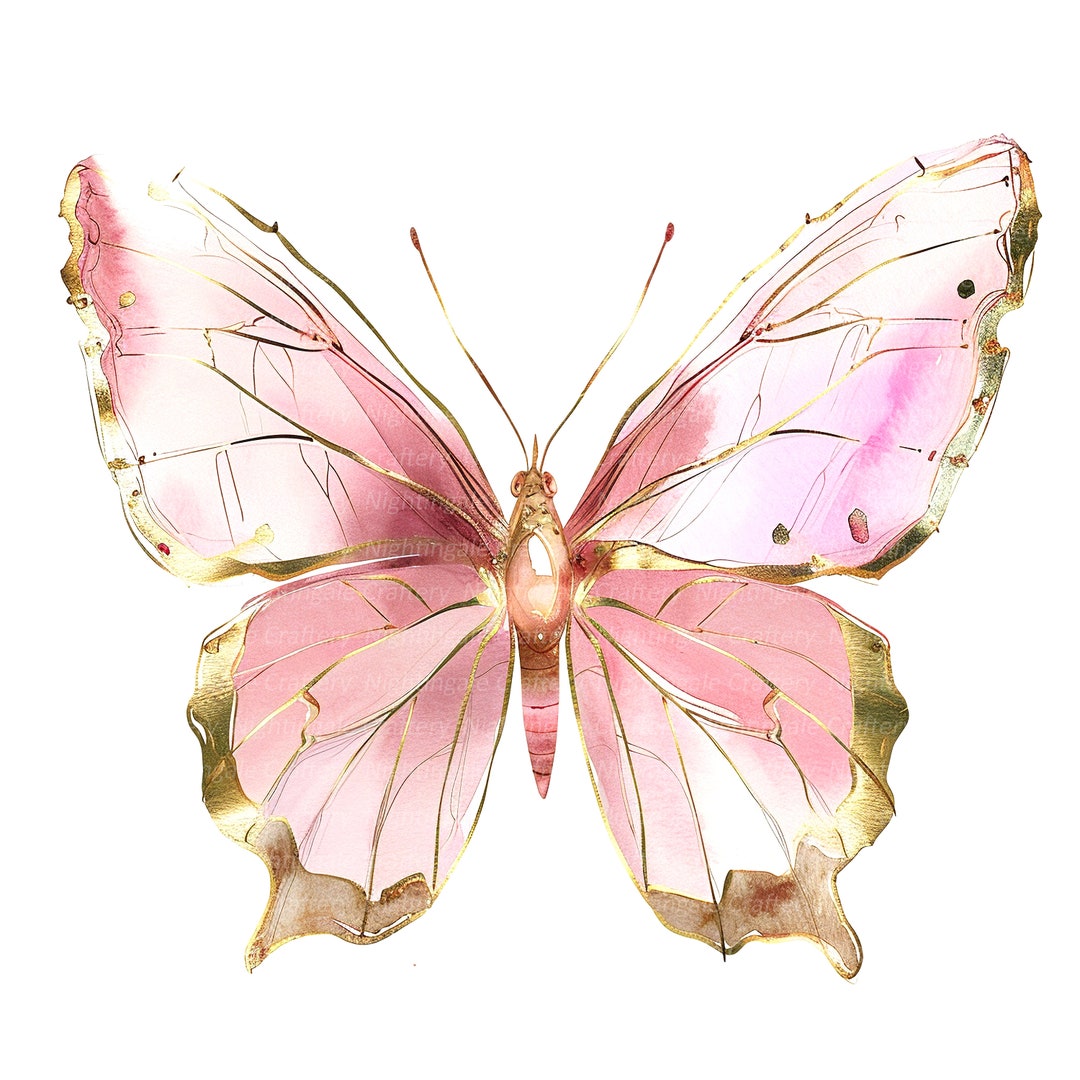 12 Pink Golden Butterfly Clipart, Wall Print, Printable Watercolor ...