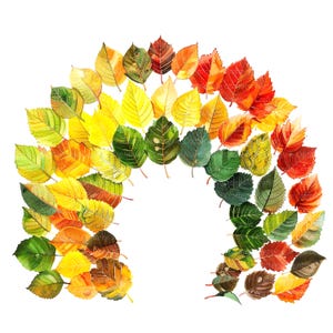 11 Autumn Leaves Clipart, Rainbow Clipart, Printable Watercolor Clipart ...