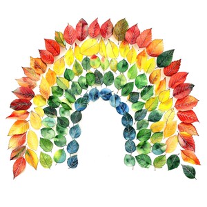 11 Autumn Leaves Clipart, Rainbow Clipart, Printable Watercolor Clipart ...