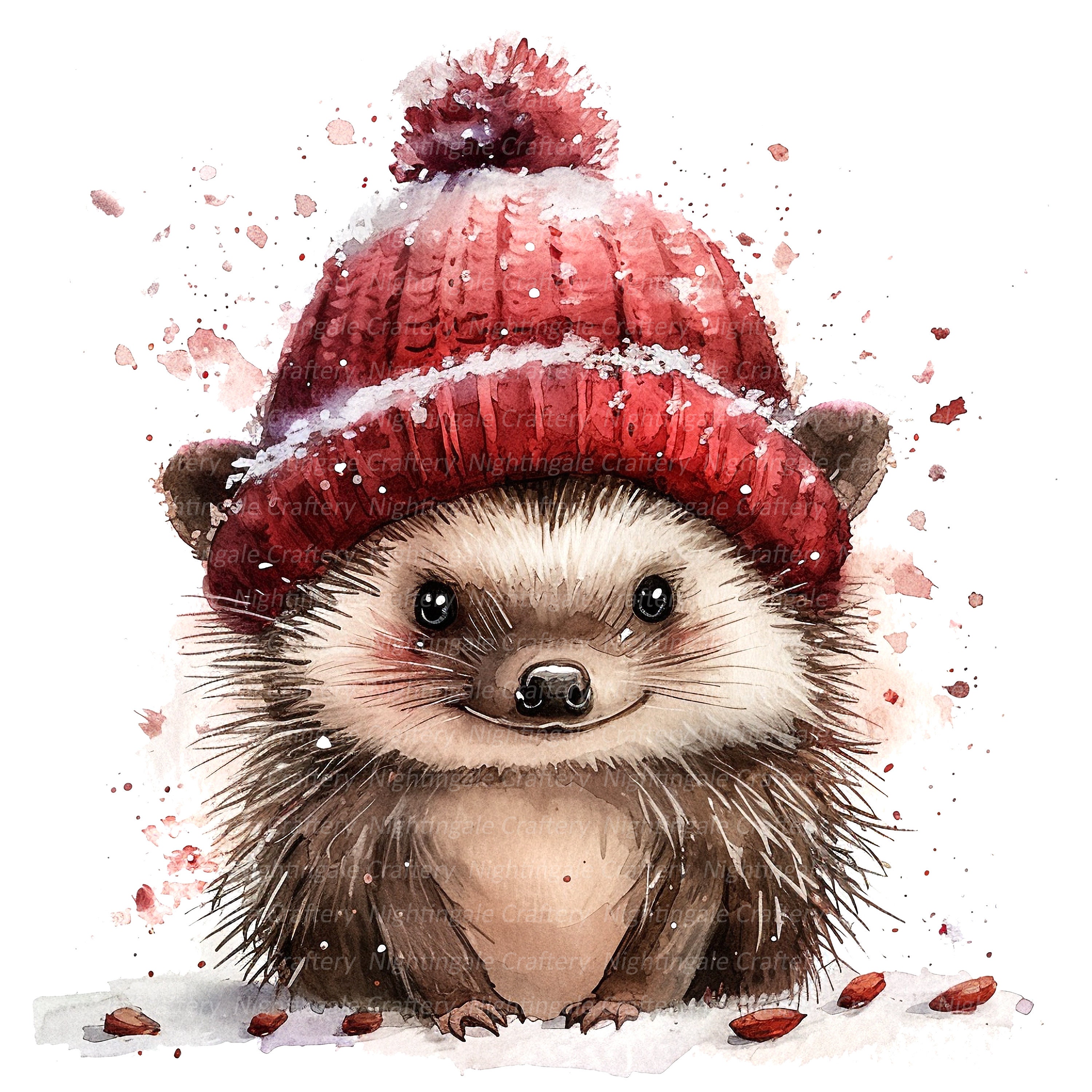 10 Hedgehog Winter Clipart, Hedgehog Bobble Hat, Printable Watercolor ...