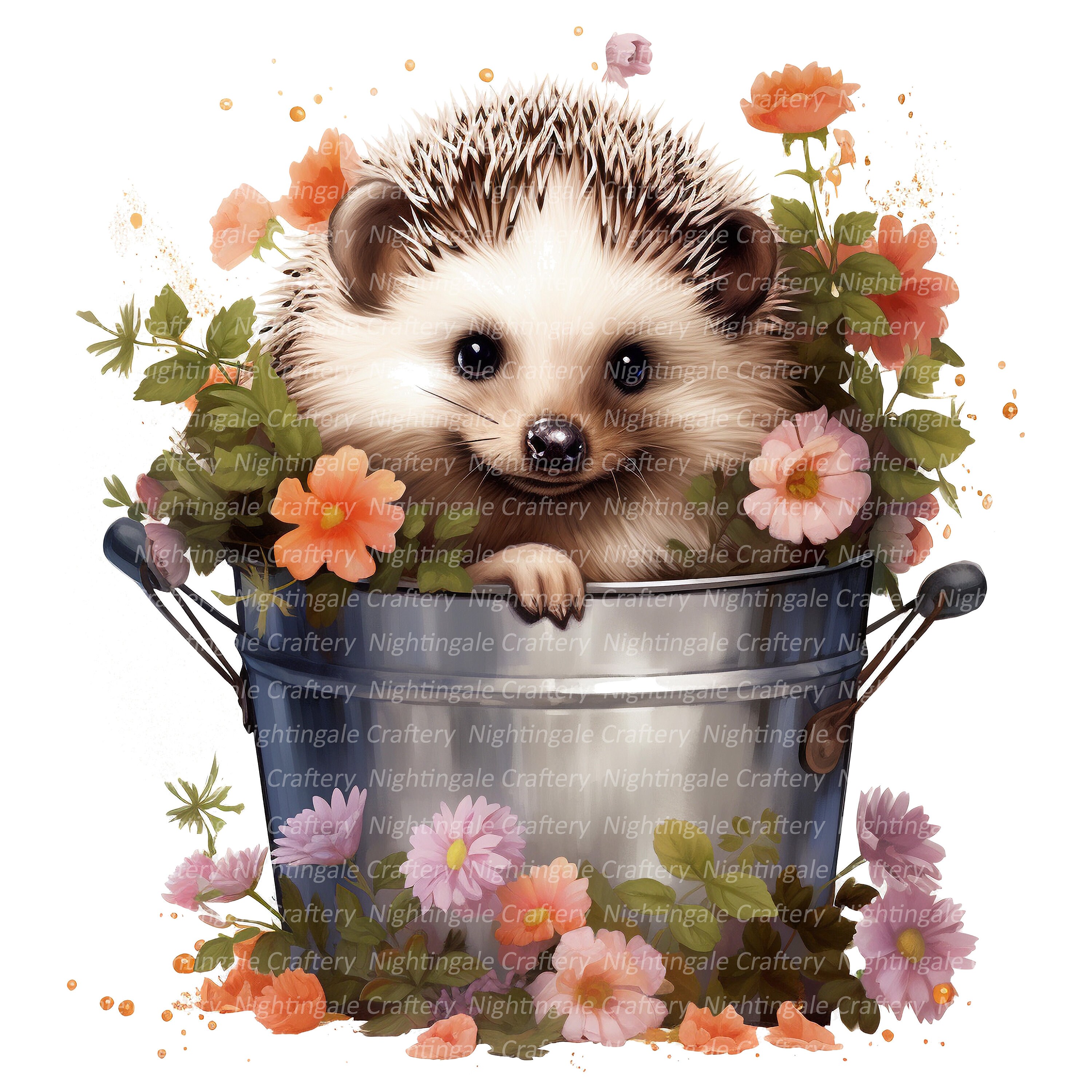 Cute Hedgehog Clipart Printable Watercolor Clipart 10 High - Etsy