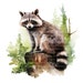 Raccoon in Forest Clipart, Printable Watercolor Clipart, 10 High ...