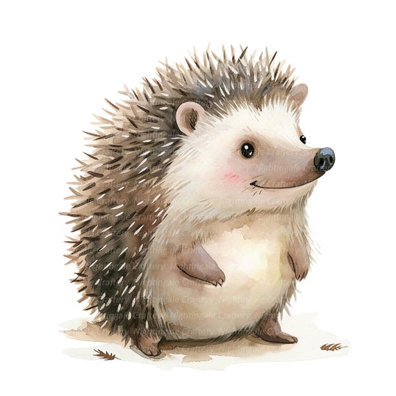 Hedgehog cartoon store