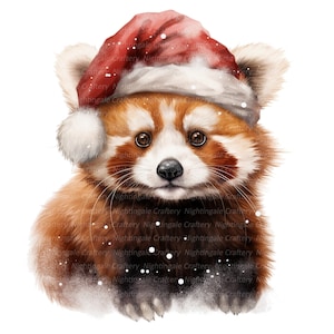 10 Red Panda With Santa Hat Clipart, Printable Watercolor Clipart, High ...