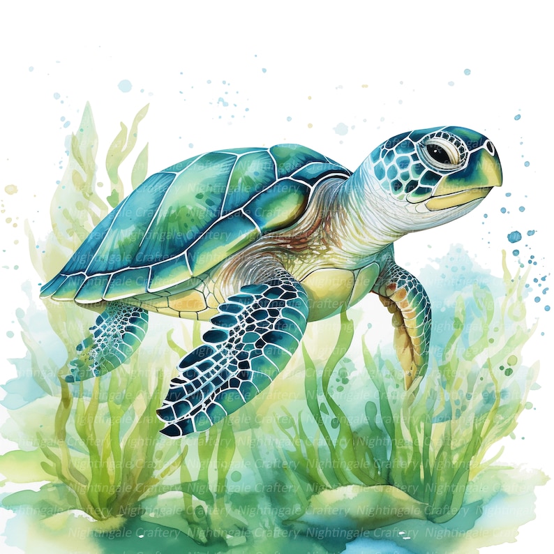 9 Watercolor Turtle Clipart, Marine Turtle, Printable Watercolor ...