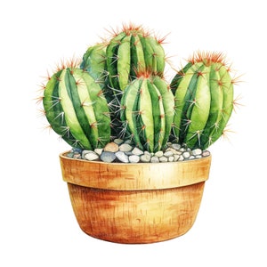 12 Cactus in Pot Clipart, Blooming Cactus, Printable Watercolor Clipart ...