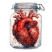 10 Human Heart in Jar Clipart, Halloween, Printable Watercolor Clipart ...