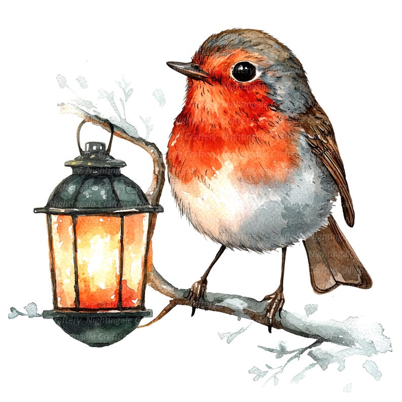 12 Robin and Lantern Clipart, Christmas Robin, Printable Watercolor ...