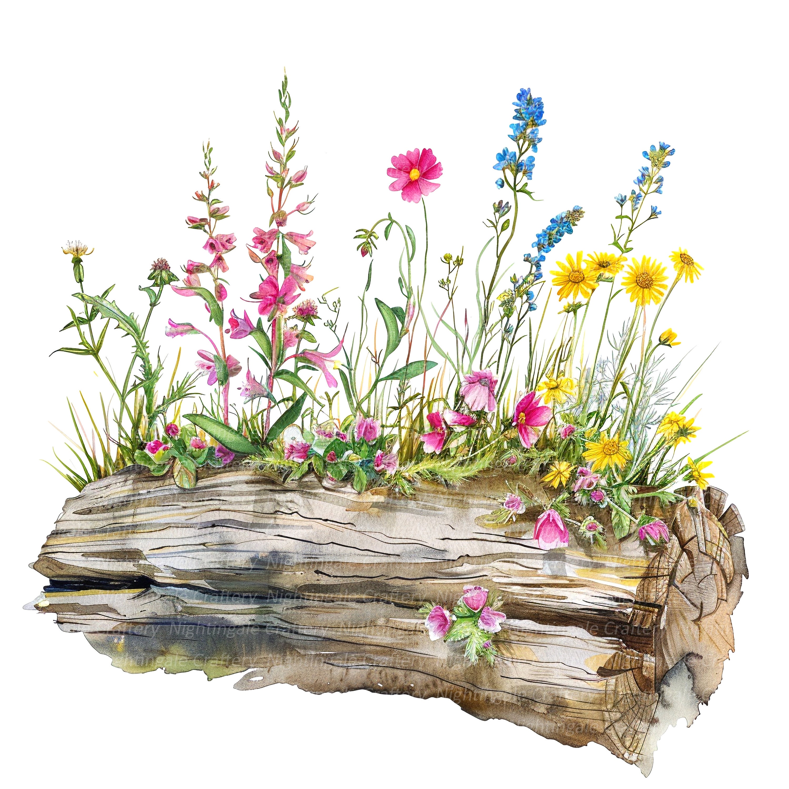 12 Wildblumen auf Log Clipart Set 2, Wildblumen, druckbare Aquarell ...
