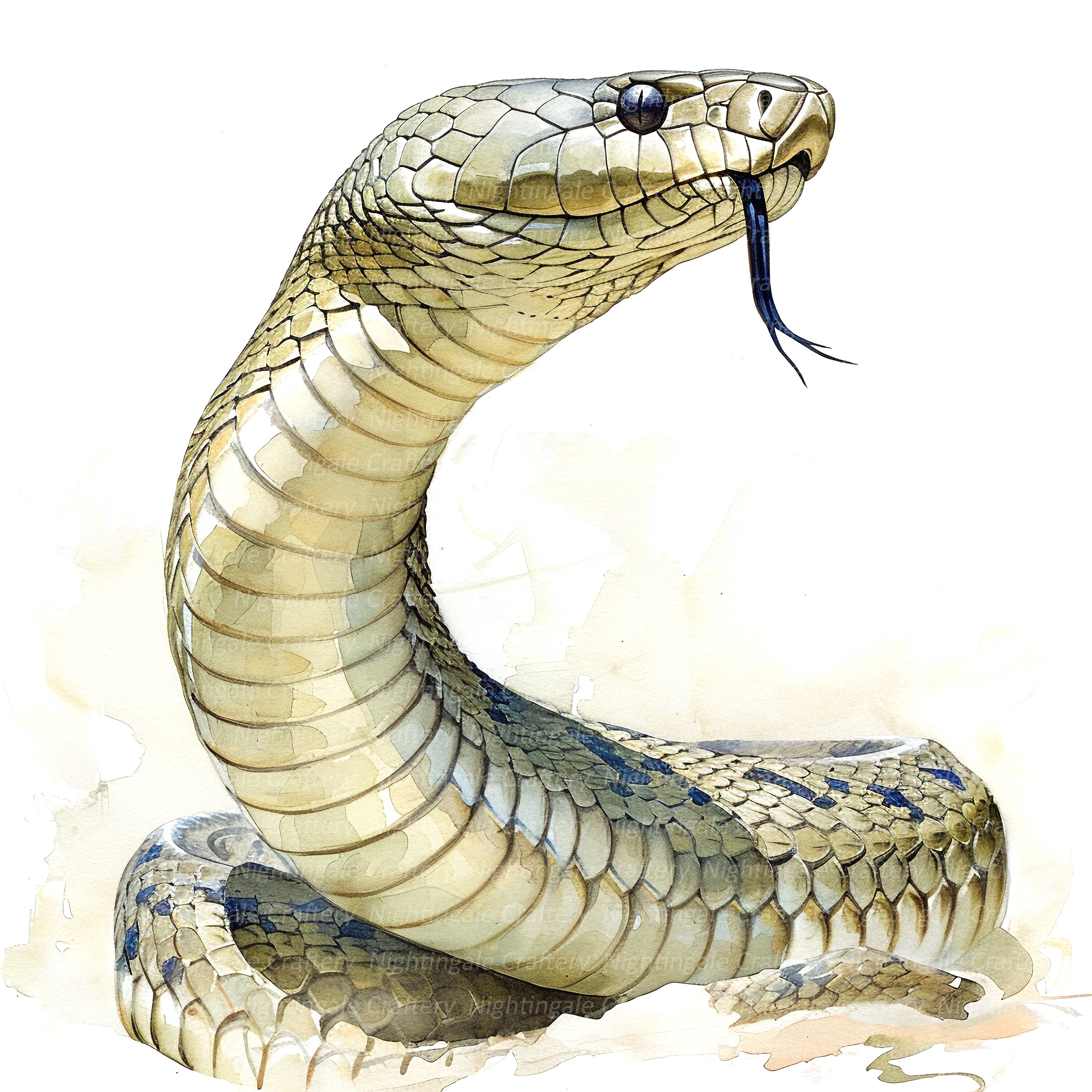11 Watercolor Snake Clipart, Sublimation Snake, Printable Watercolor ...