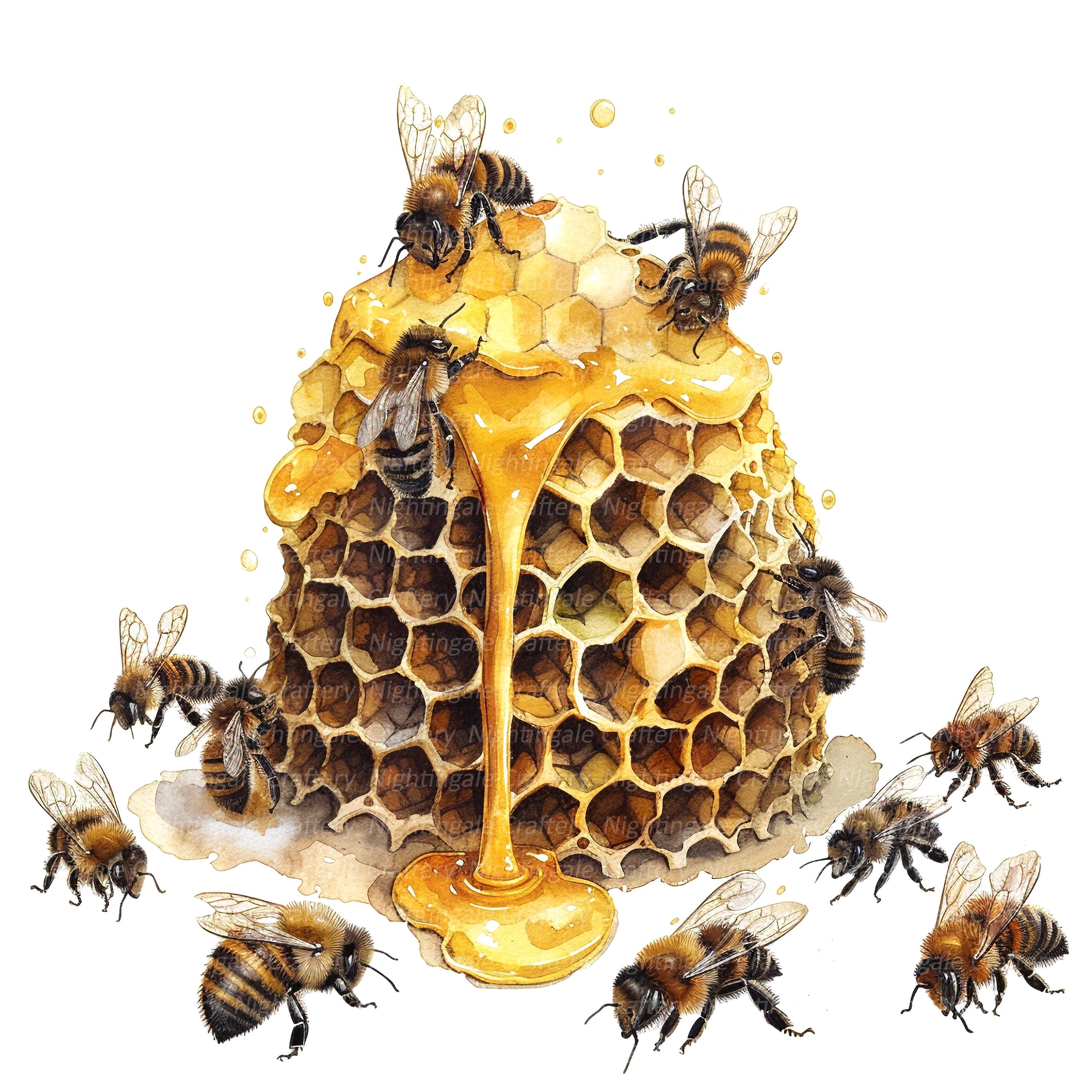10 Bees Clipart, Honey Clipart, Beehive, Printable Watercolor Clipart ...