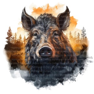 12 Wild Boar in Sunset Clipart, Printable Watercolor Clipart, High ...