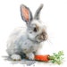 10 Bunny With Carrot Clipart, Rabbit Clipart, Printable Watercolor ...