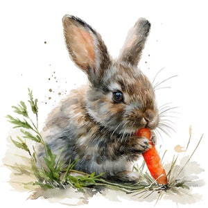 10 Bunny With Carrot Clipart, Rabbit Clipart, Printable Watercolor ...