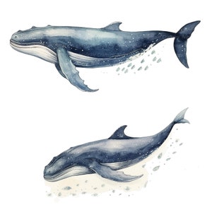 10 Whale Clipart, Blue Whale Poster, Printable Watercolor Clipart, High ...