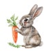 8 Bunny With Carrot Clipart, Cartoon Bunny, Printable Watercolor ...