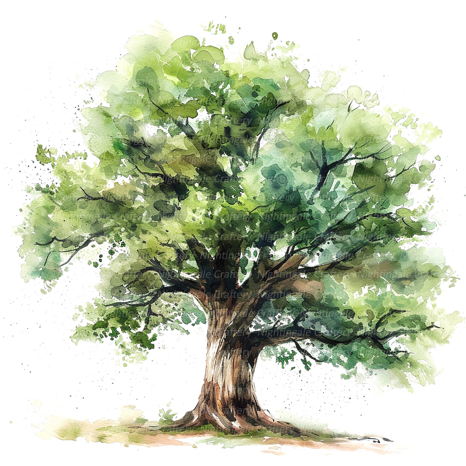12 Oak Tree Clipart, Oak Clipart, Autumn Oak, Printable Watercolor ...