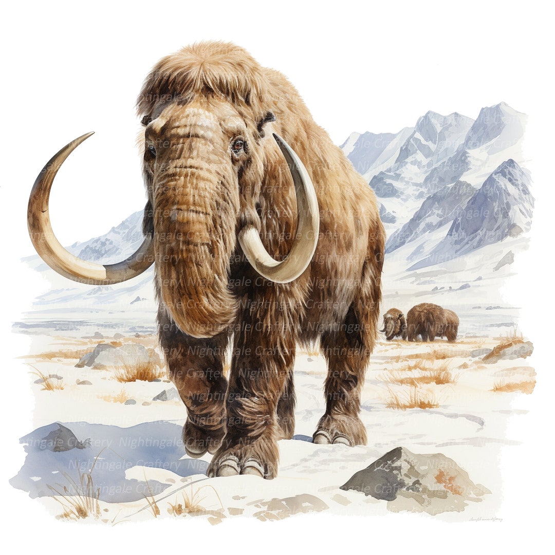 8 Mammoth Clipart, Watercolor Mammoth, Printable Watercolor Clipart ...