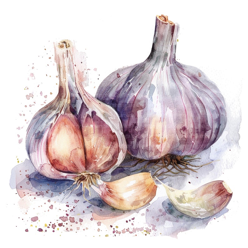 10 Garlic Clipart, Kitchen Clipart, Garlic Print, Printable Watercolor ...