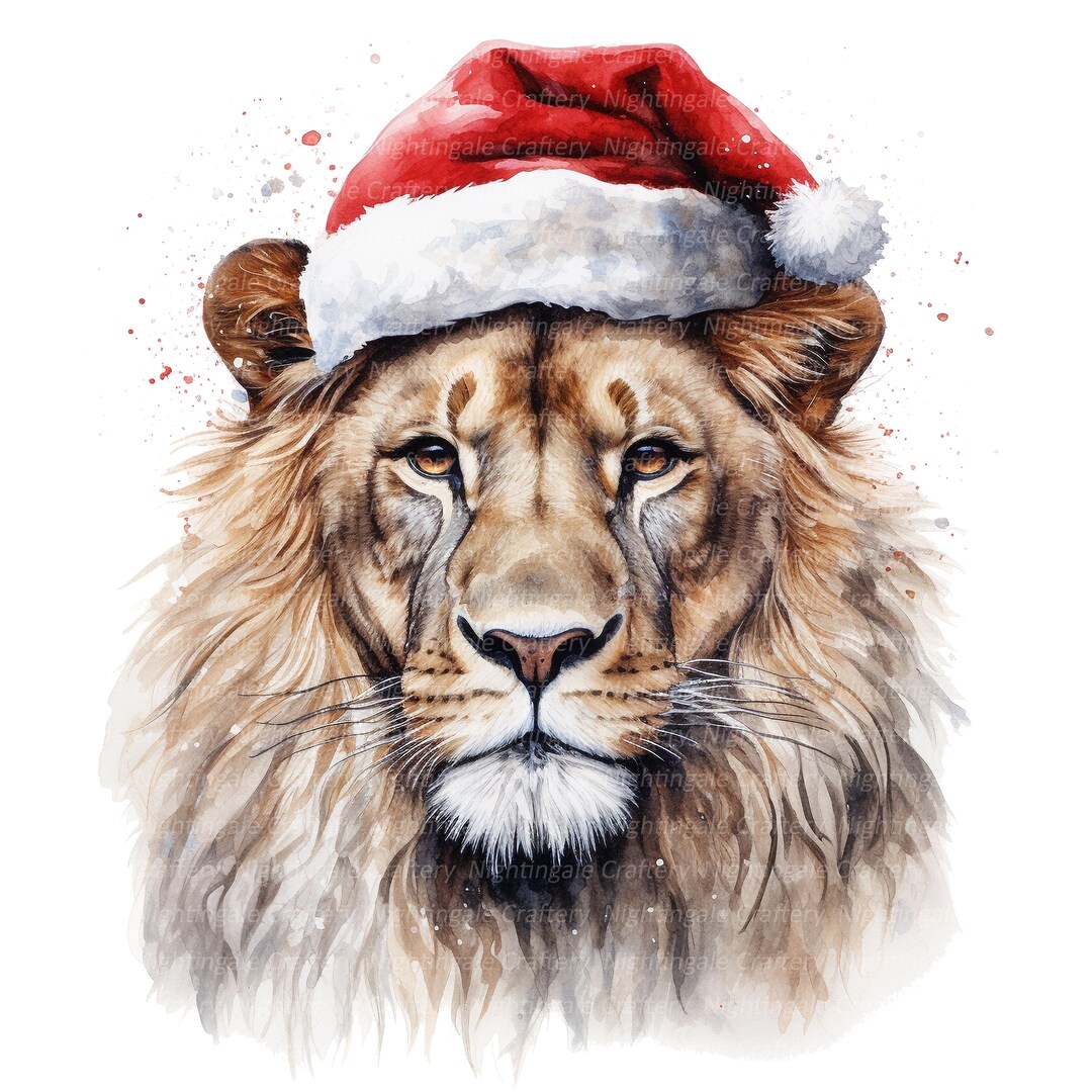 12 Lion With Santa Hat Clipart, Lion Clipart, Printable Watercolor ...