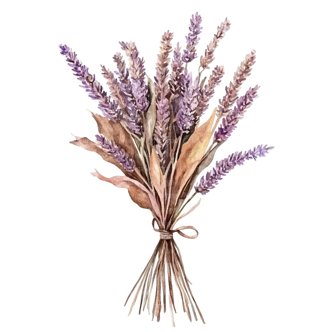 Lavender Clipart, Lavender Bouquet Set, Printable Watercolor Clipart ...