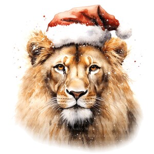 12 Lion With Santa Hat Clipart, Lion Clipart, Printable Watercolor ...