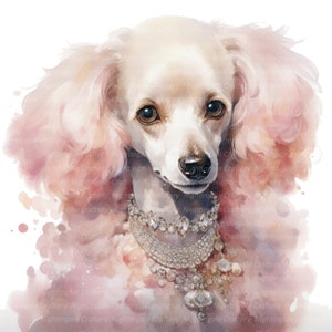 12 Vintage Poodle Clipart, Cool Pudel, Printable Watercolor Clipart ...