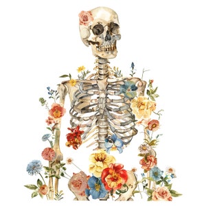 12 Floral Human Skeleton Clipart, Floral Skeleton, Printable Watercolor ...
