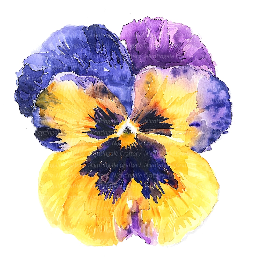 8 Purple Pansy Clipart, Abstract Pansy Flowers, Printable Watercolor ...