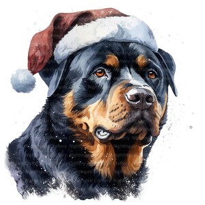 9 Rottweiler With Santa Hat Clipart, Printable Watercolor Clipart, High ...