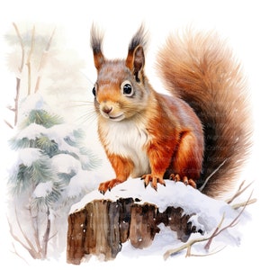 12 Cute Squirrel in Winter Clipart, Printable Watercolor Clipart, High ...