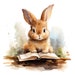 12 Bunny Reading Book Clipart, Bunny Clipart, Printable Watercolor ...