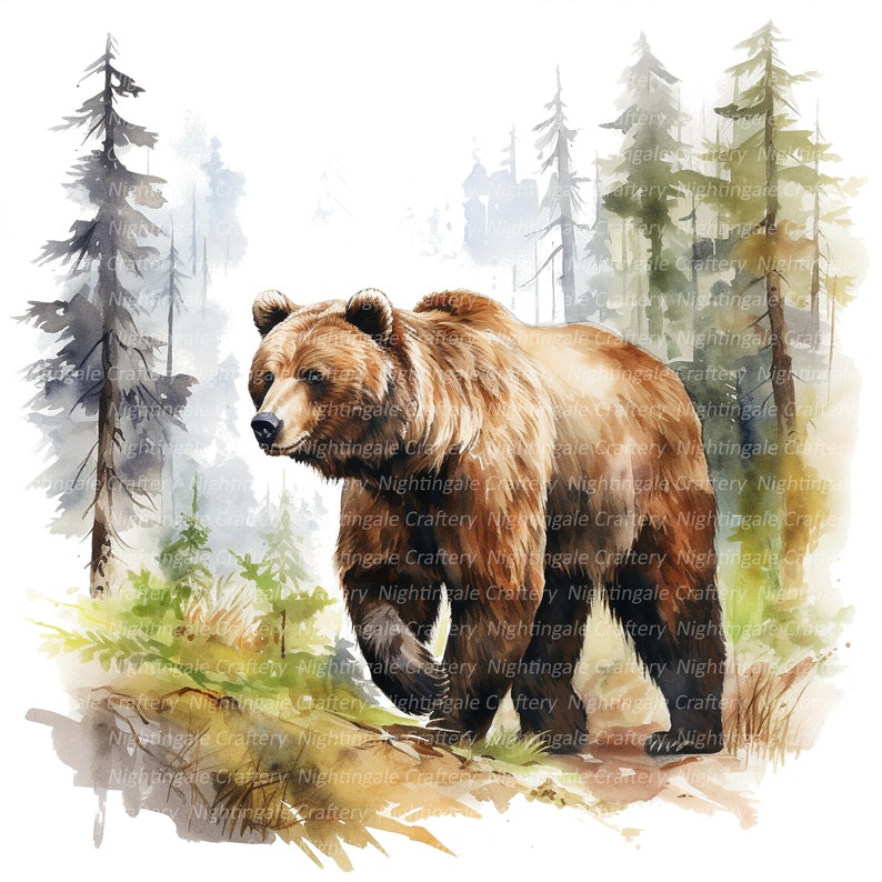 Bear in Forest Clipart Printable Watercolor Clipart 10 High - Etsy