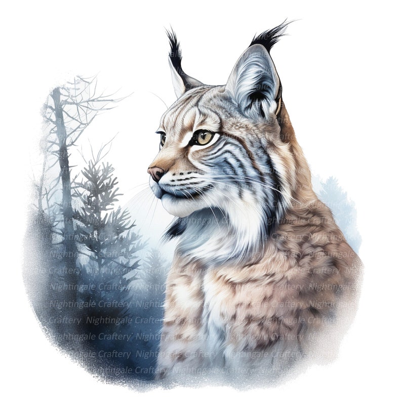 Lynx in Moonlight Clipart Printable Watercolor Clipart 10 - Etsy