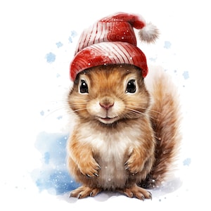 14 Squirrel Christmas Hat Clipart, Printable Watercolor Clipart, High ...