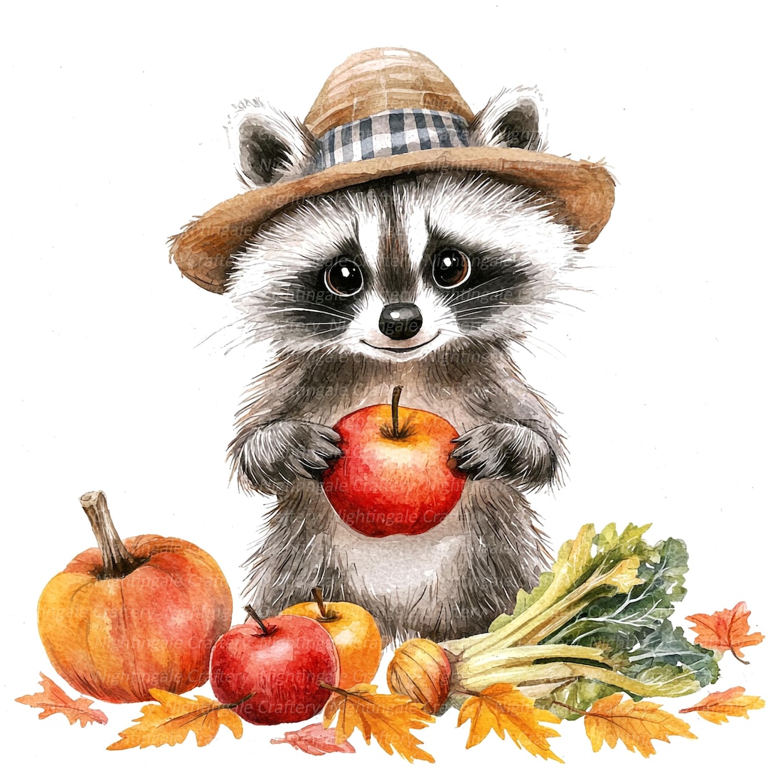 12 Harvest Raccoon Clipart, Thanksgiving Clipart, Printable Watercolor ...