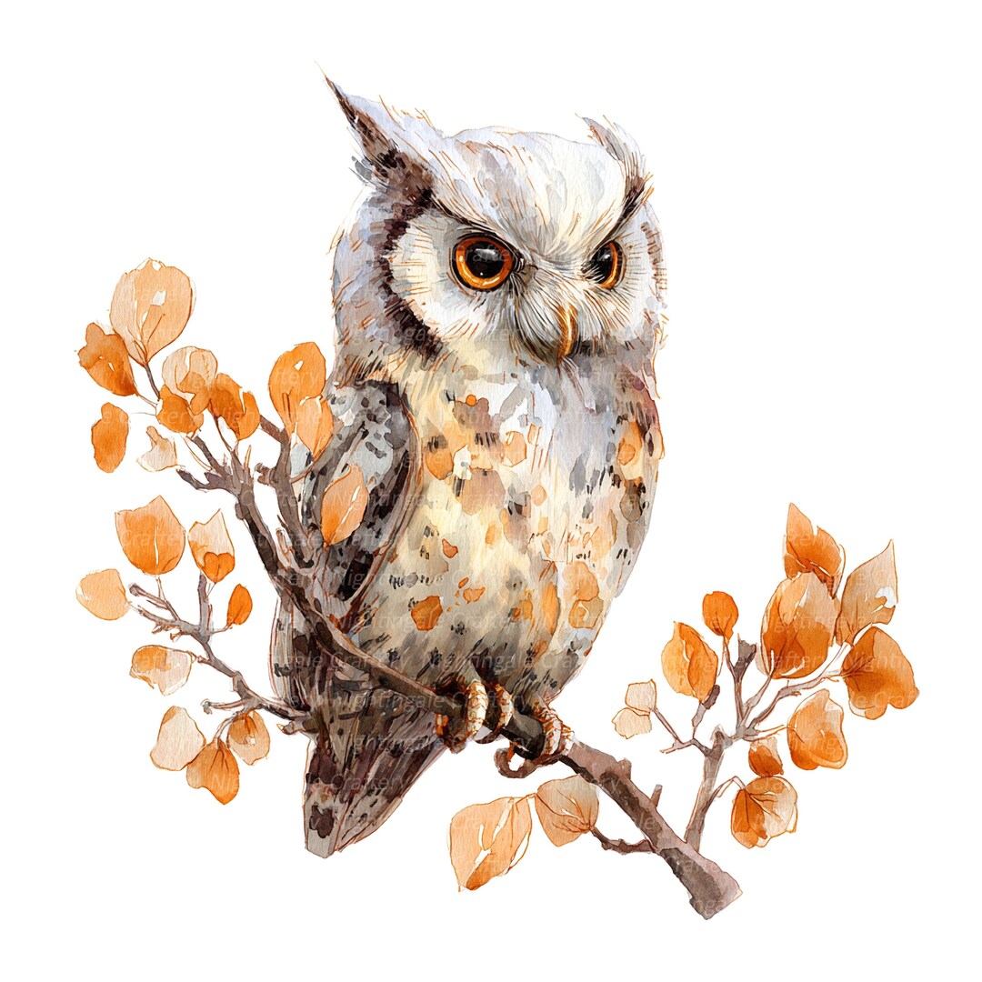 8 Autumn Owl Clipart, Cute Owl Clipart, Digital Clipart, Watercolor ...