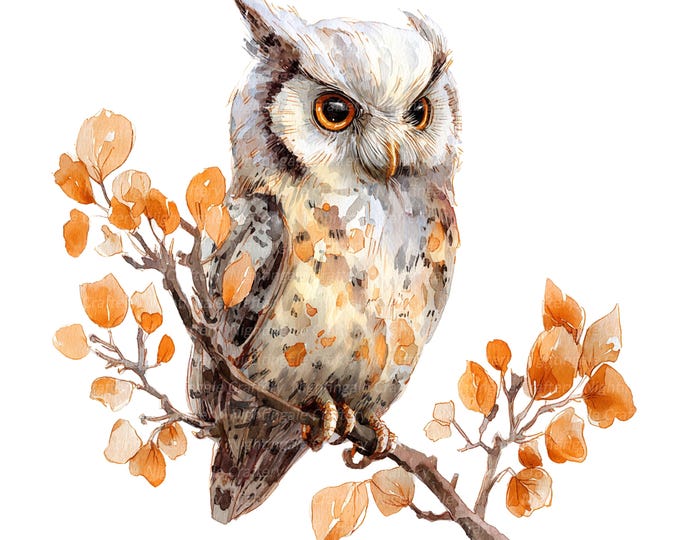 Cute Fall Owls Clipart Bundle, Watercolor Autumn Owl Clip Art Images ...